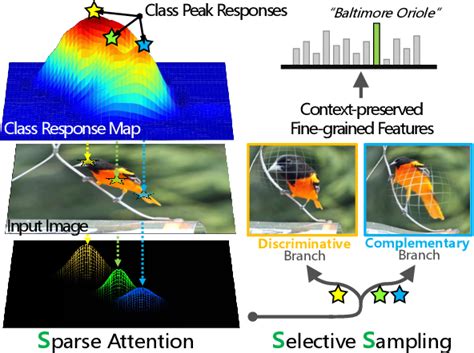 Figure 1 From Selective Sparse Sampling For Fine Grained Image
