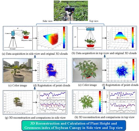 Remote Sensing Free Full Text Three Dimensional Reconstruction Of Soybean Canopies Using