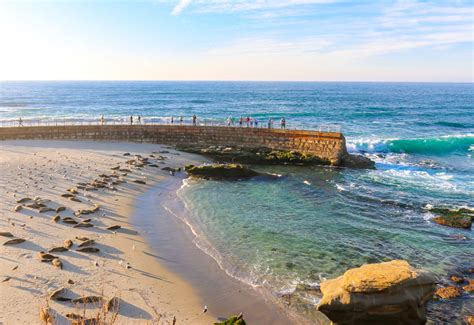 La Jolla Beach San Diego Directions At Daniel Chavez Blog