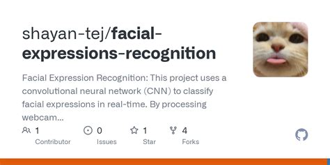 Facial Expressions Recognition Emotion Classification Cnn Using Keras