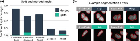 Image Segmentation Deep Learning