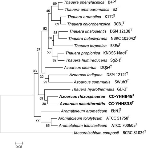 phylogenetic tree inferred using ubcgs concatenated alignment of 92