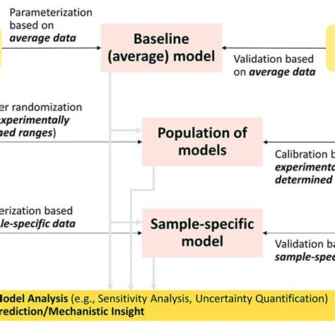 Flowchart Connecting Traditional Cardiac Modeling Approach To The New