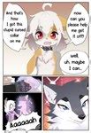 Pool Arcanis Transformation By Loreking E
