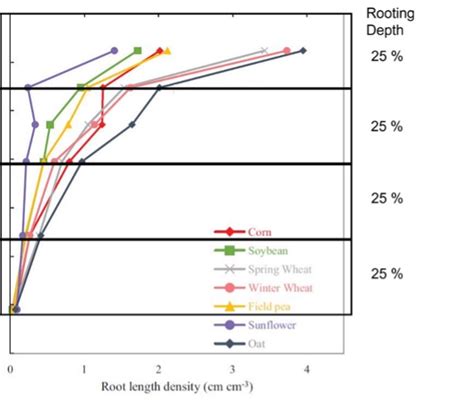 Figure 1 Root Length Density Cmcm 3 For The Whole Root System At Crop Anthesis For 7 Field