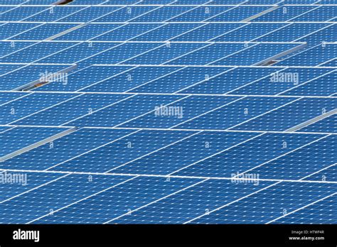 Solar Panels In Array Capturing Sunlight To Convert It To Green Renewable Energy It S Clean No