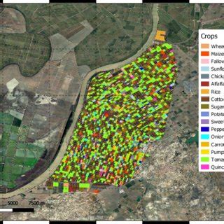 Crop Type Map With All Fields Selected In The Reference Data