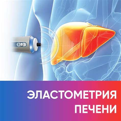 Elastometry Pecheny Diffuse Ie Tissue Engulfing Liver Disease Is