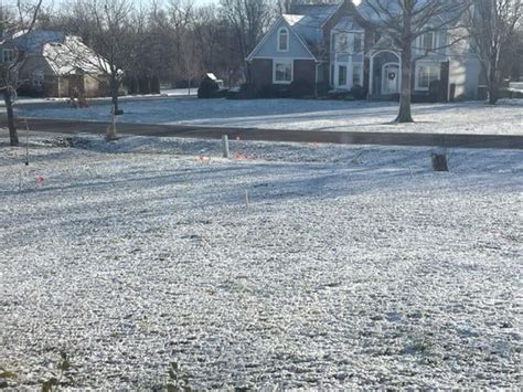 New Plot Newbie Rvegetablegardening