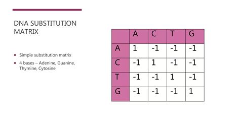 Pam Matrices Evolution Pptx