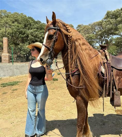 ¿cuántos Años Tiene La Hija Del Canelo Álvarez Edad Y Fotos De Emily