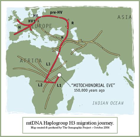 Haplogroup L Black History And Culture