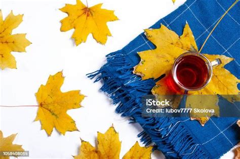 담요와 흰색 배경에 잎 차 한잔 텍스트에 대 한 장소입니다 가 편안 함 3위에 대한 스톡 사진 및 기타 이미지 3위 가을 개념 Istock