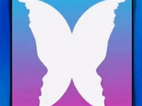 Optical Illusion Personality Test Will Reveal If Youre Introverted Or