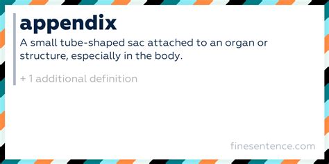 Appendix Definition Meaning And Examples In English