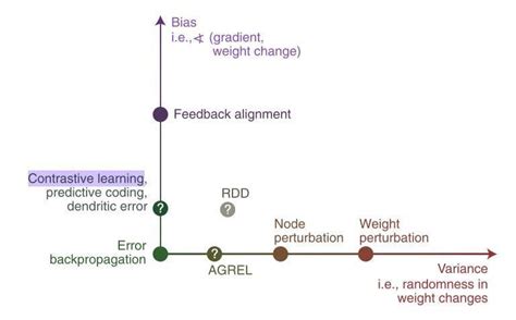 Ai And Neuroscience Part 3 How Can Deep Learning Help Neuroscience