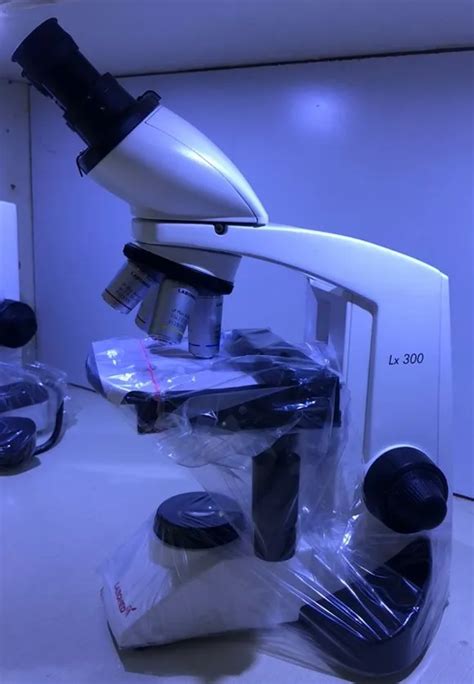Microscope Labomed Model Name Number Lx300 At ₹ 21500 Number In Jabalpur Id 22146146948