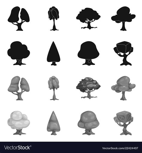 Design Of Tree And Nature Icon Collection Vector Image