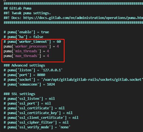 gitlab 配置优化 漠里 博客园