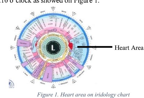Figure 2 From Heart Abnormalities Detection Through Iris Based On Mobile Semantic Scholar
