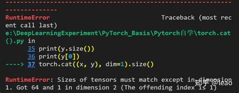Torchcat的使用常见bug 知乎