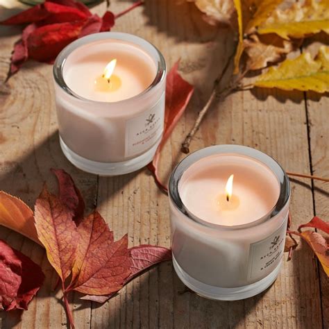 Acca Kappa White Moss Scented Candle 180g Bib And Tucker