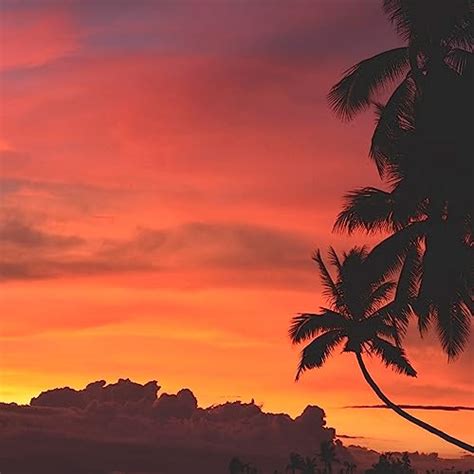 Needel Die 15 Besten Produkte Im Vergleich Die Besten Angel Tipps Und Tricks Deine Angelwelt