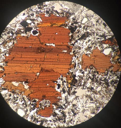Biotite Thin Section
