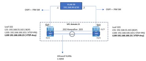 Vpc Vxlan Bgp Evpn Advance Feature Dclessons