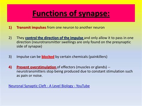 The Nervous System Ppt Download