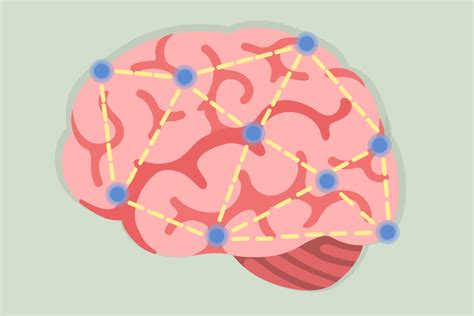 uc davis researcher unveils how brains learn through inference the aggie
