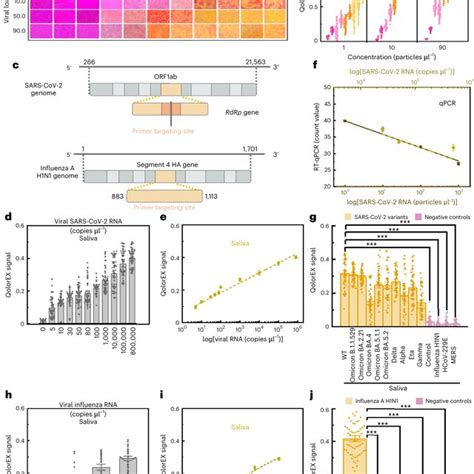 Working Principle Of Qolorex Plasmonic Sensing Platform With Respect To Download Scientific
