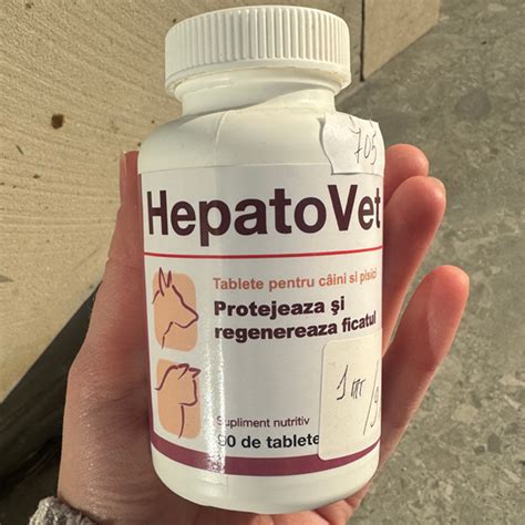 VetExpert