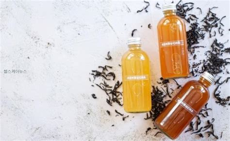 콤부차 효능과 부작용