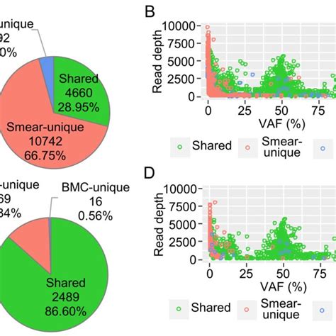 Filtering Effect On The Variants Detected Using Mutect2 In Fig 4 A