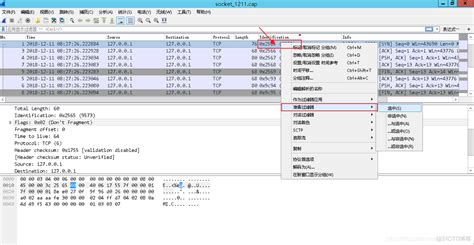 wireshark ip id 过滤器 闲人2019的技术博客 51cto博客