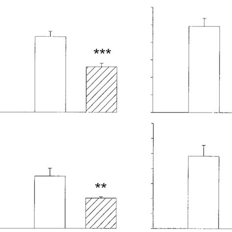 A B Bcl Xl Relative To B Actin Mrna Expression In Male A And Female