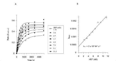 Analysis Of Sim 28 Hrp Binding Time Course Data By First Order Rate