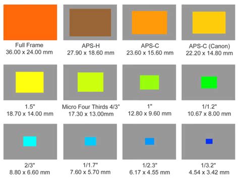 Size Of Image Sensor How Does Sensor Size Affect Image Quality