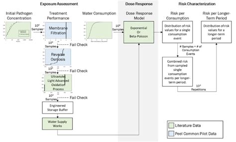 Process Flow Diagram Of Qmra Stochastic Analysis Logic Cumulative