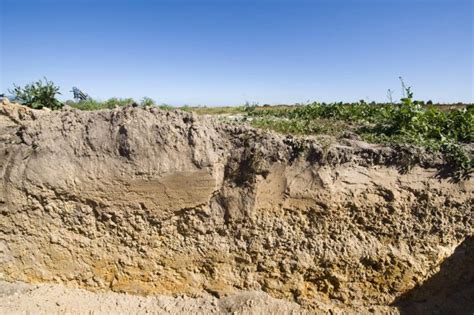 Soil Stability Explained Soil Quality Knowledge Base