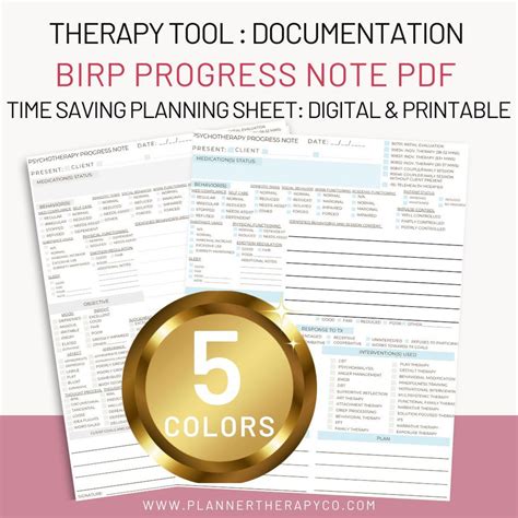 Birp Psychotherapy Progress Note Template With Mse Digital Download Etsy