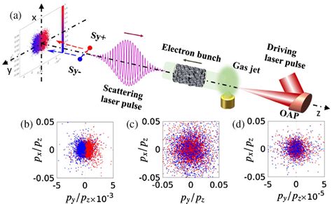 A Scenario Of Generation Of Spin Polarized Electron Beams Via Nlc