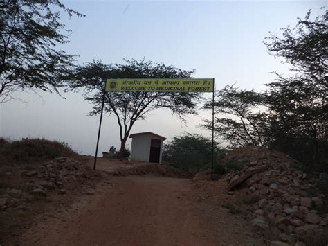 Tharu Dr Ajay Kumar Ojha From The Eyes Of Dr Ajay Kumar Ojha Sanjay