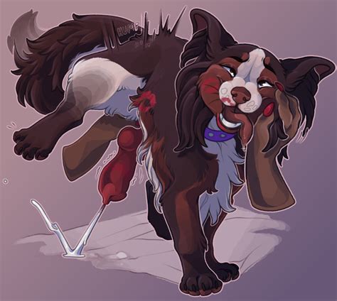 Rule 34 Animal Genitalia Animal Penis Bodily Fluids Canid Canine