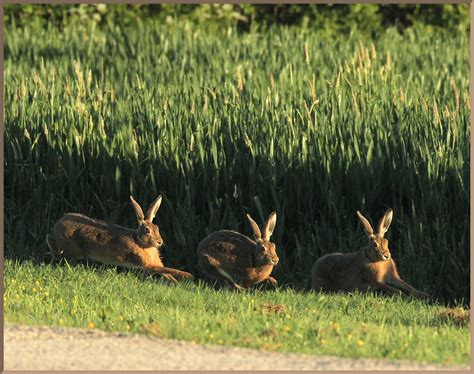 Image Of The Day By Subject