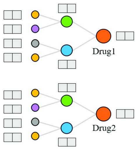 Extraction Of Topological Features Download Scientific Diagram