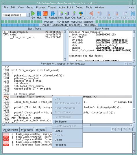 software de depuración para c c y fortran totalview debugger
