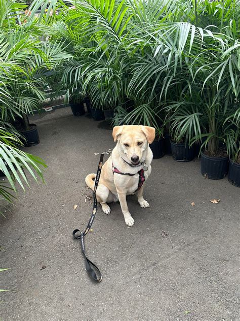 Darlene Wraight Darlene Wraight Added A New Photo