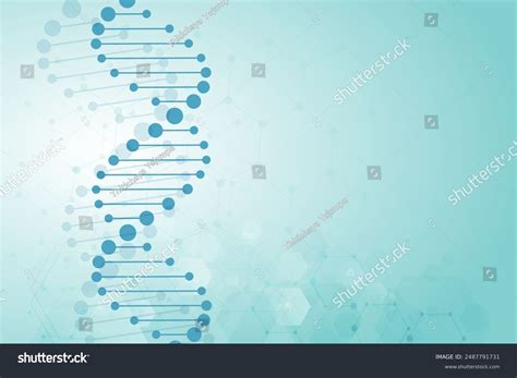 Structure Human Cell Dna Double Helix Over 3244 Royalty Free